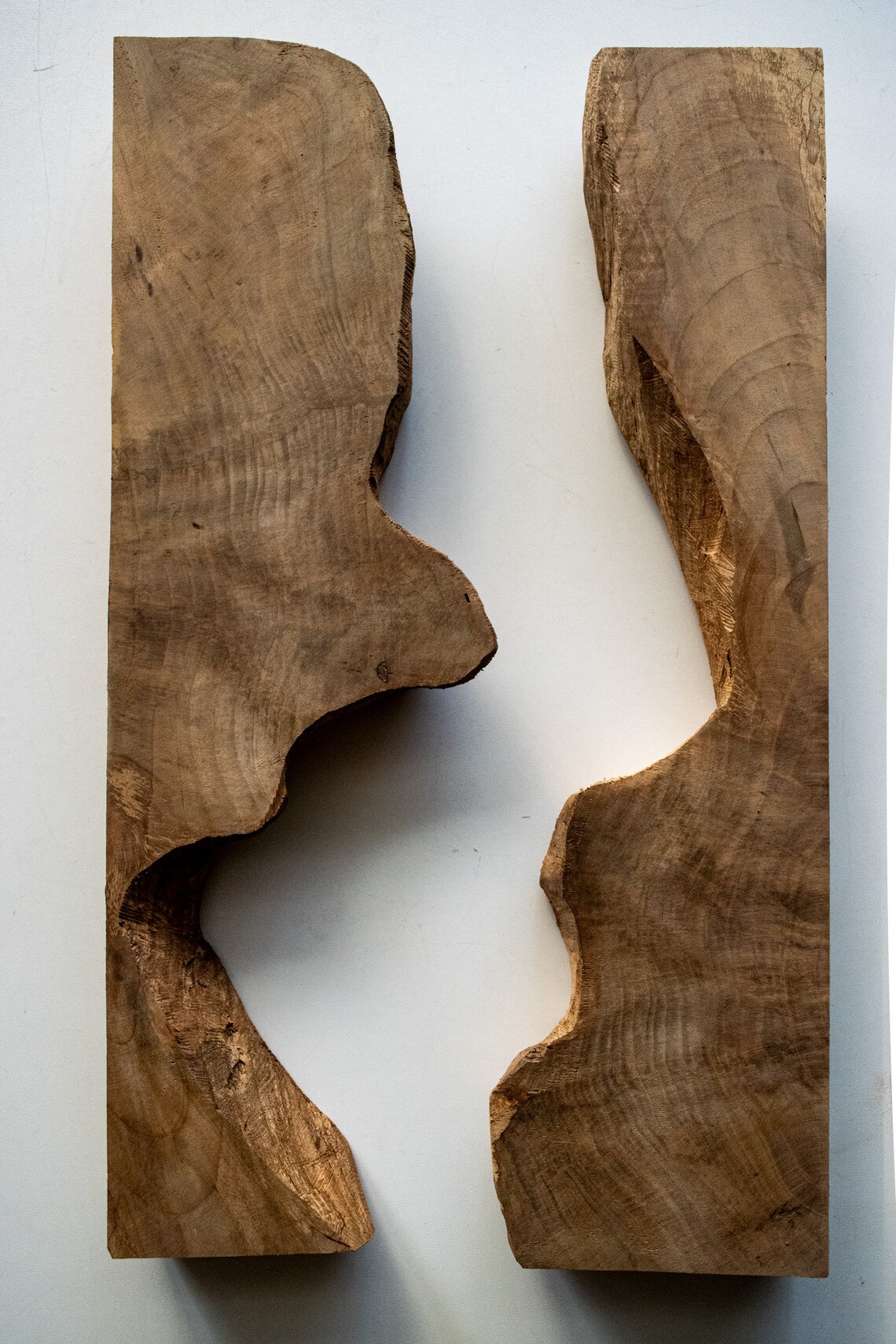 Walnut Tree Slice, Walnut Tree Wood Slabs, Live Edge, Unique Walnut ...