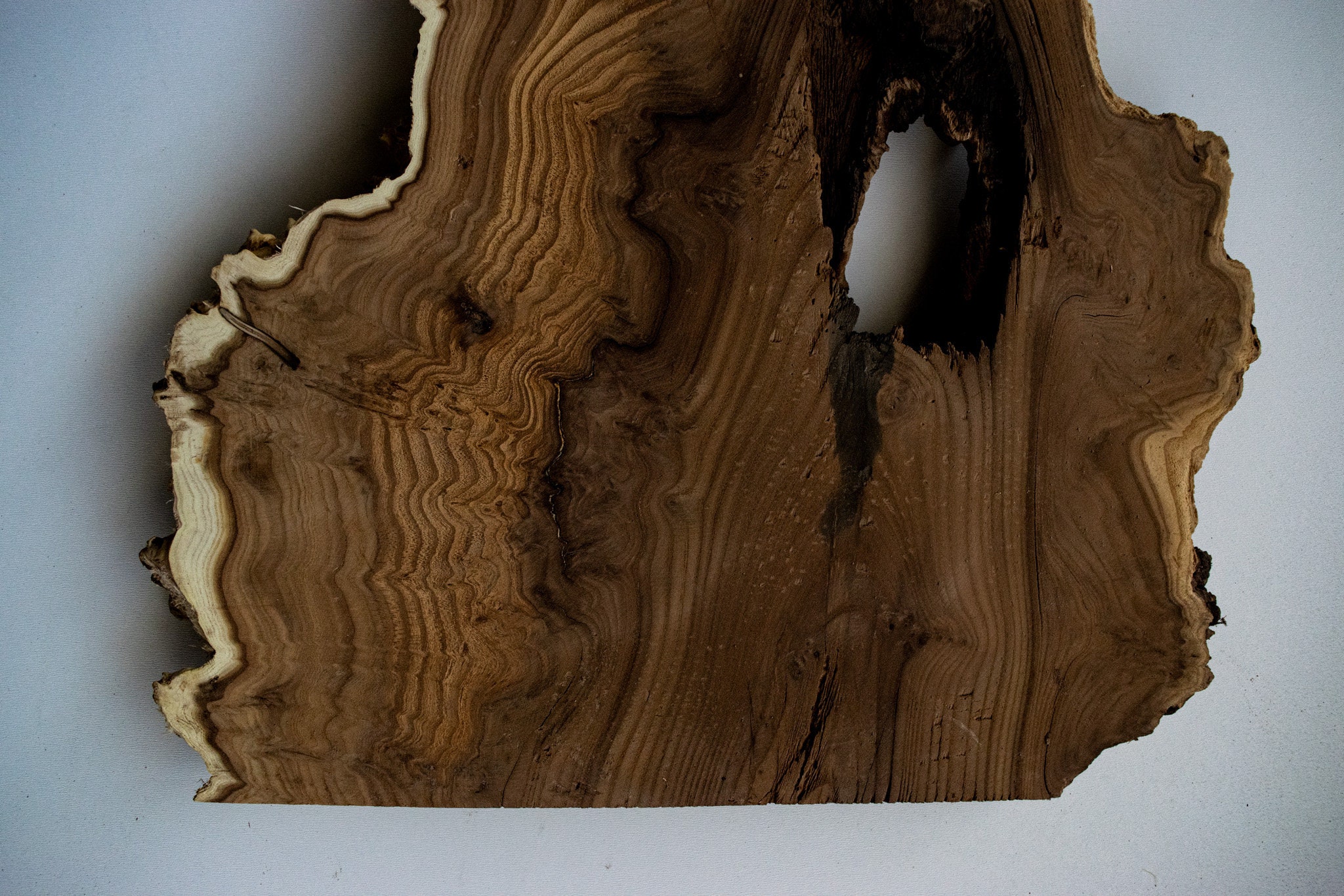 Live Edge Raw Edged Wood Sheet Live Edge Sheet Unfinished for - Etsy