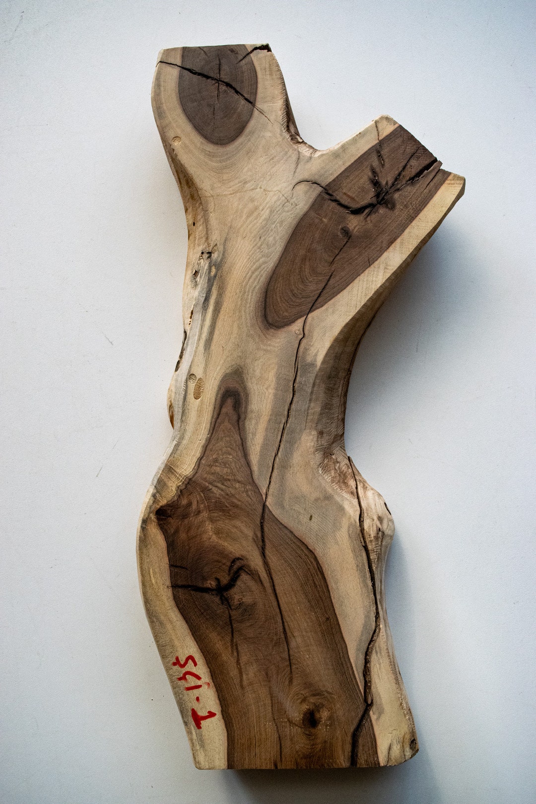 Walnut Tree Slice Walnut Tree Wood Slabs Live Edge Unique - Etsy