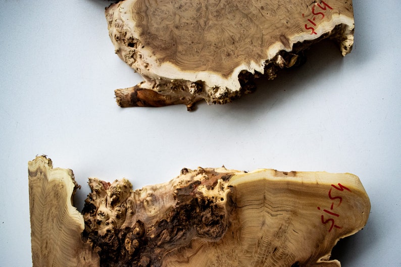 Live Edge Raw Edged Wood Sheet Live Edge Sheet Unfinished for - Etsy