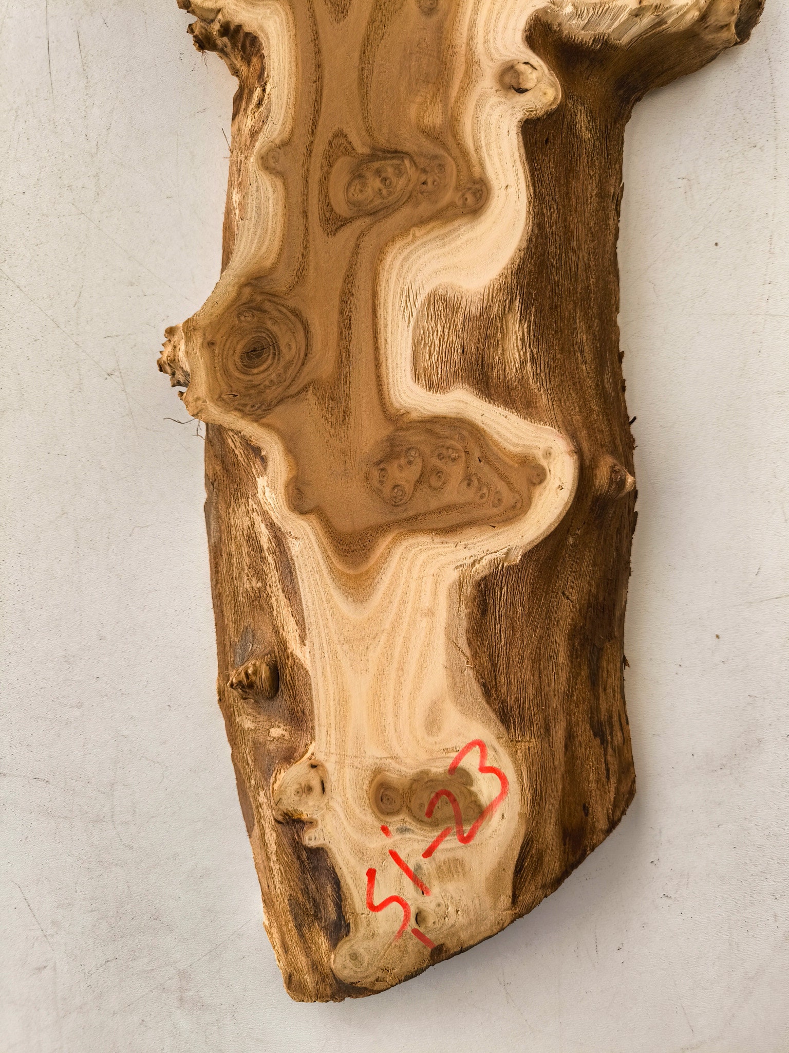Live Edge Raw Edged Wood Sheet, Live Edge Sheet Unfinished for Craft ...