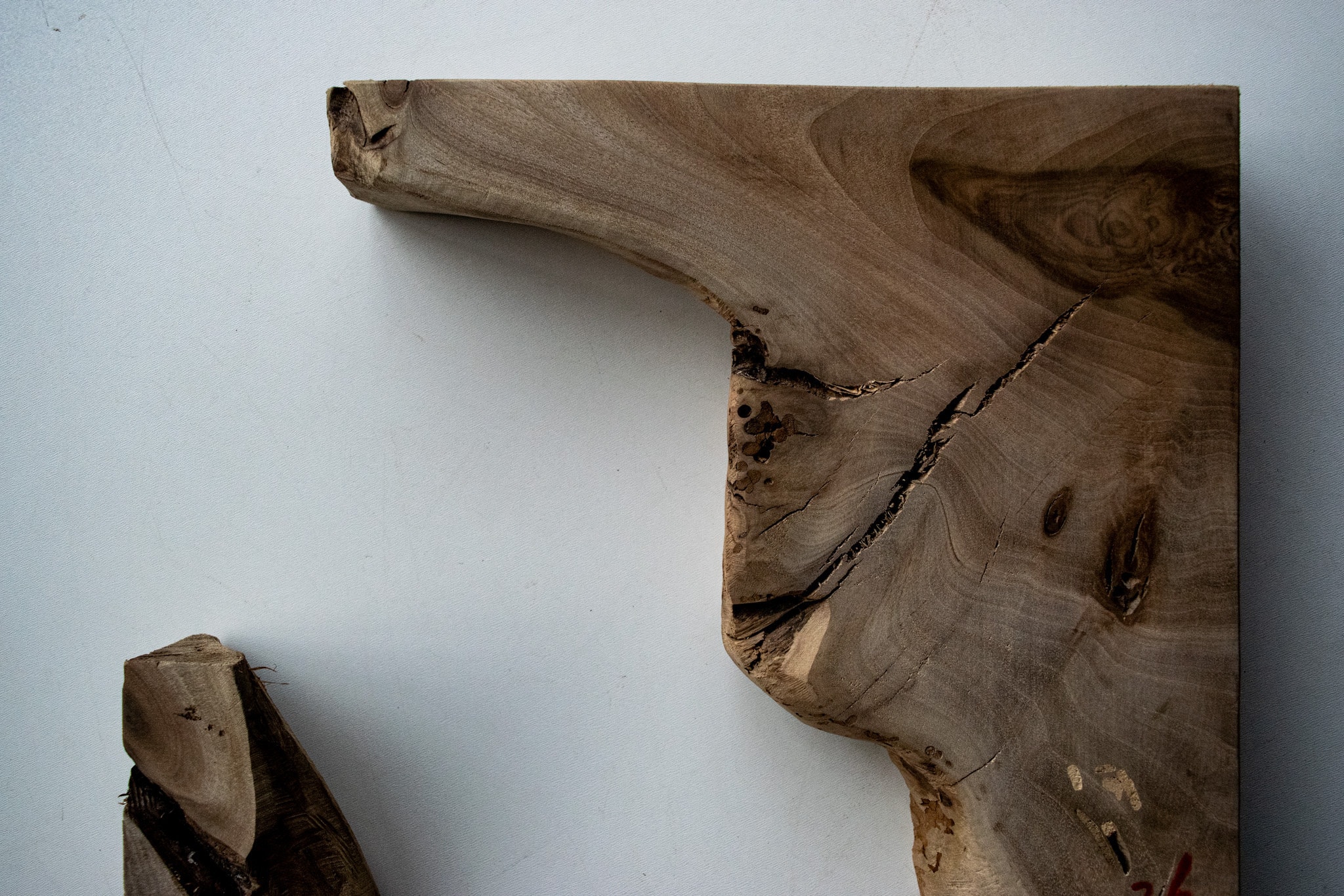 Walnut Tree Slice Walnut Tree Wood Slabs Live Edge Unique - Etsy