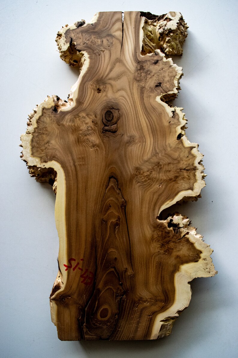 Live Edge Raw Edged Wood Sheet Live Edge Sheet Unfinished for - Etsy