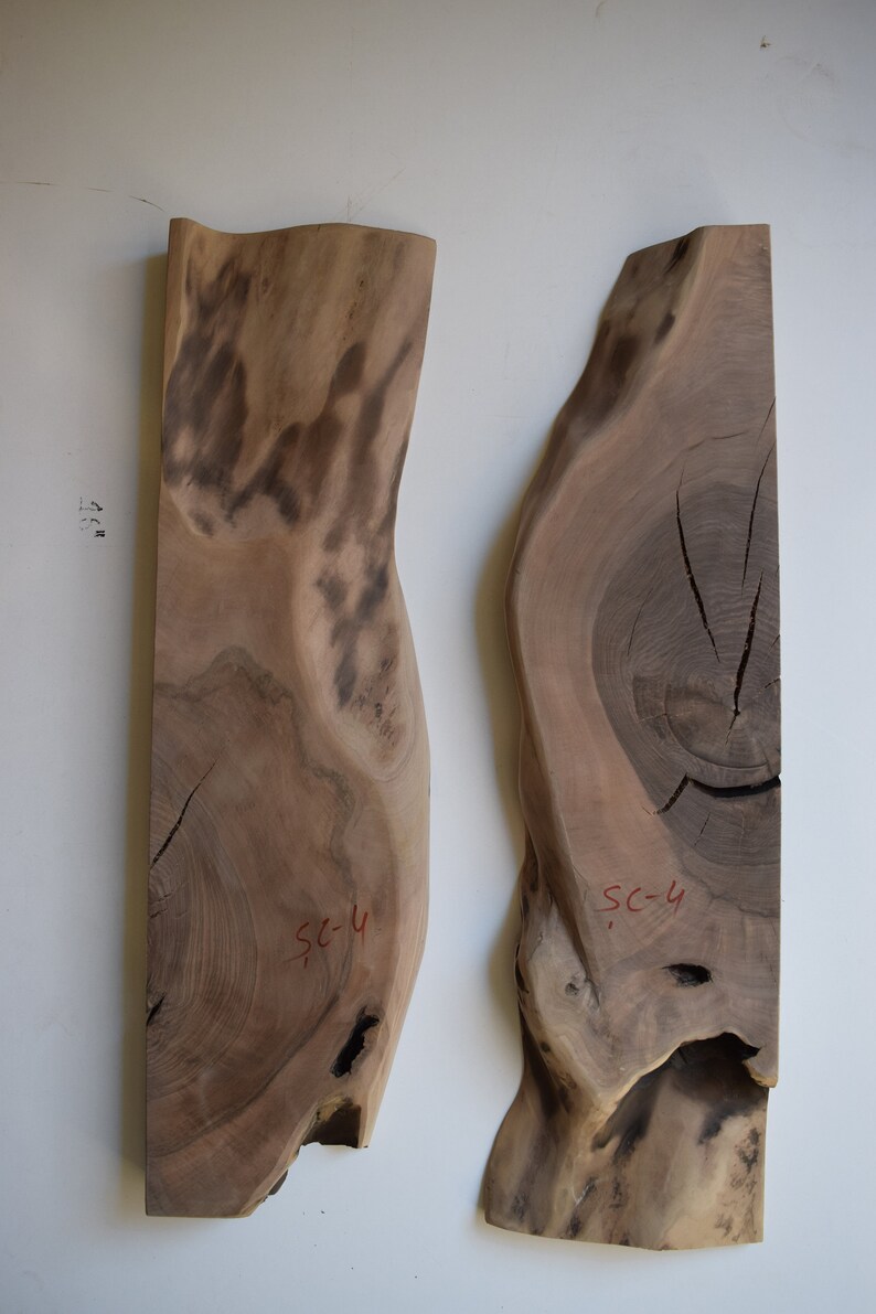 Walnut Tree Slice Walnut Tree Wood Slabs Live Edge Unique - Etsy