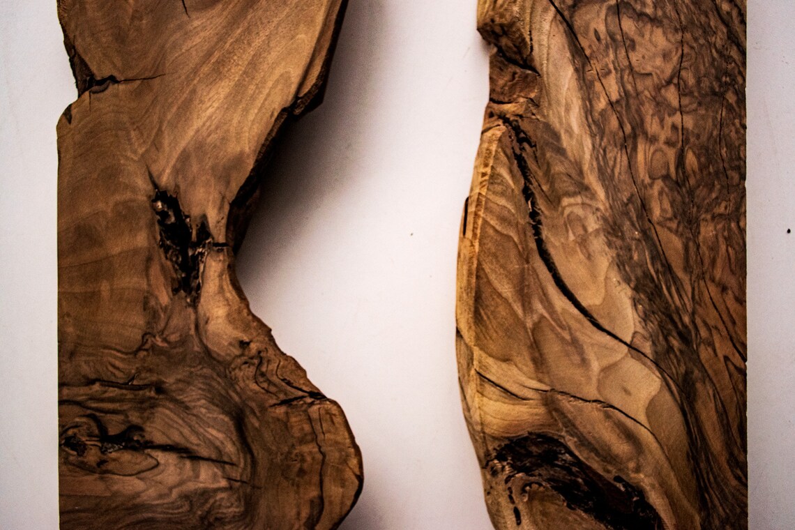 Walnut Tree Slice, Walnut Tree Wood Slabs, Live Edge, Unique Walnut ...