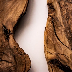 Walnut Tree Slice, Walnut Tree Wood Slabs, Live Edge, Unique Walnut ...