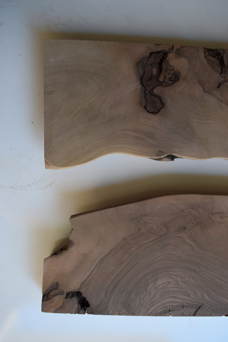 Walnut Tree Slice Walnut Tree Wood Slabs Live Edge Unique - Etsy