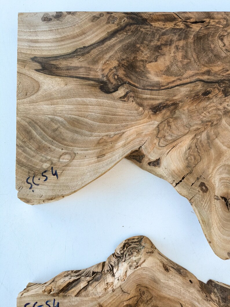 Walnut Tree Slice, Walnut Tree Wood Slabs, Live Edge, Unique Walnut ...