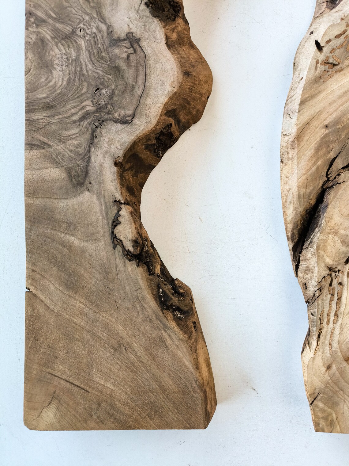 Walnut Tree Slice, Walnut Tree Wood Slabs, Live Edge, Unique Walnut ...