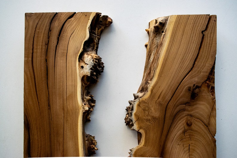 Live Edge Raw Edged Wood Sheet Live Edge Sheet Unfinished for - Etsy