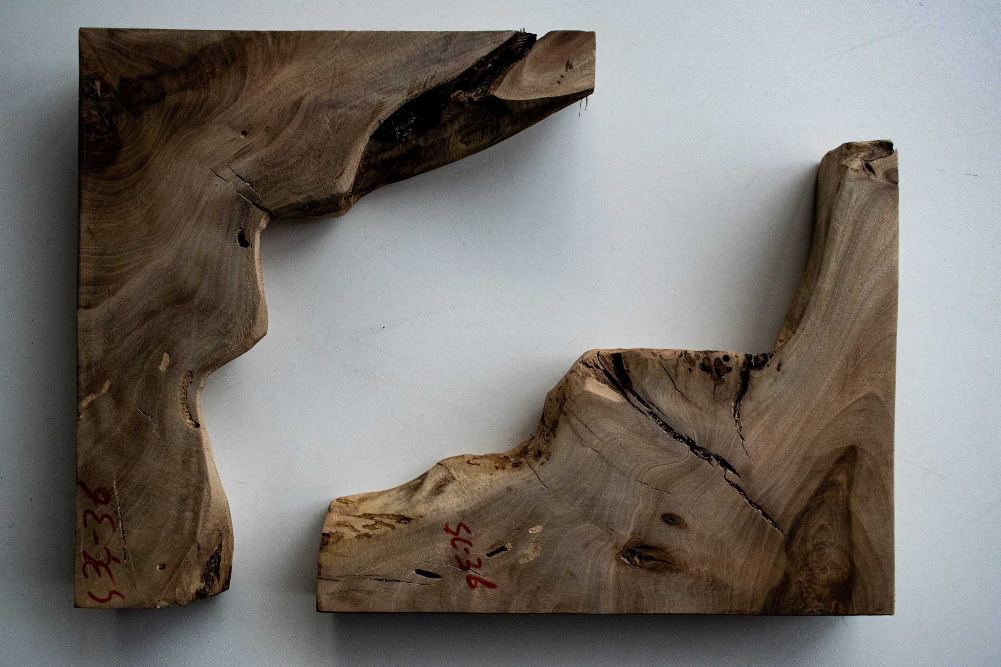 Walnut Tree Slice Walnut Tree Wood Slabs Live Edge Unique - Etsy