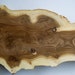 Live Edge Raw Edged Wood Sheet Live Edge Sheet Unfinished for - Etsy