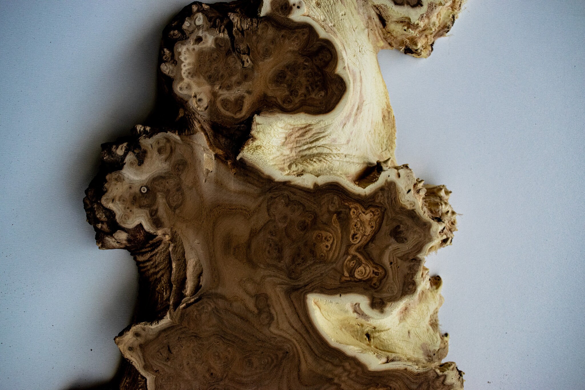 Live Edge Raw Edged Wood Sheet Live Edge Sheet Unfinished for - Etsy