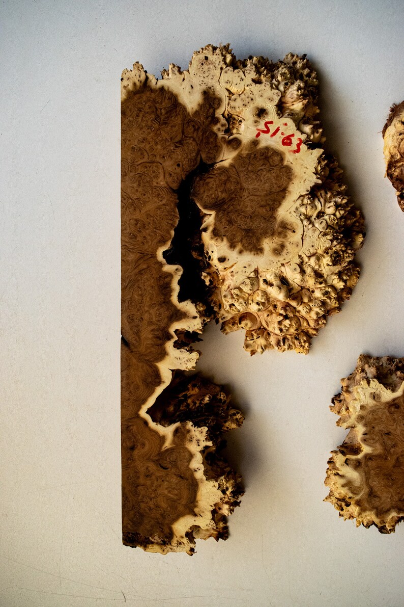 Live Edge Raw Edged Wood Sheet Live Edge Sheet Unfinished for - Etsy