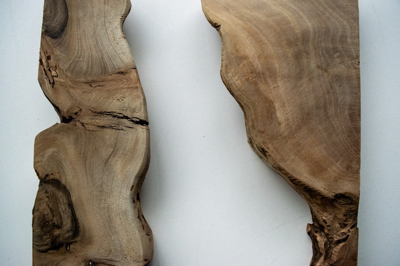 Walnut Tree Slice Walnut Tree Wood Slabs Live Edge Unique - Etsy