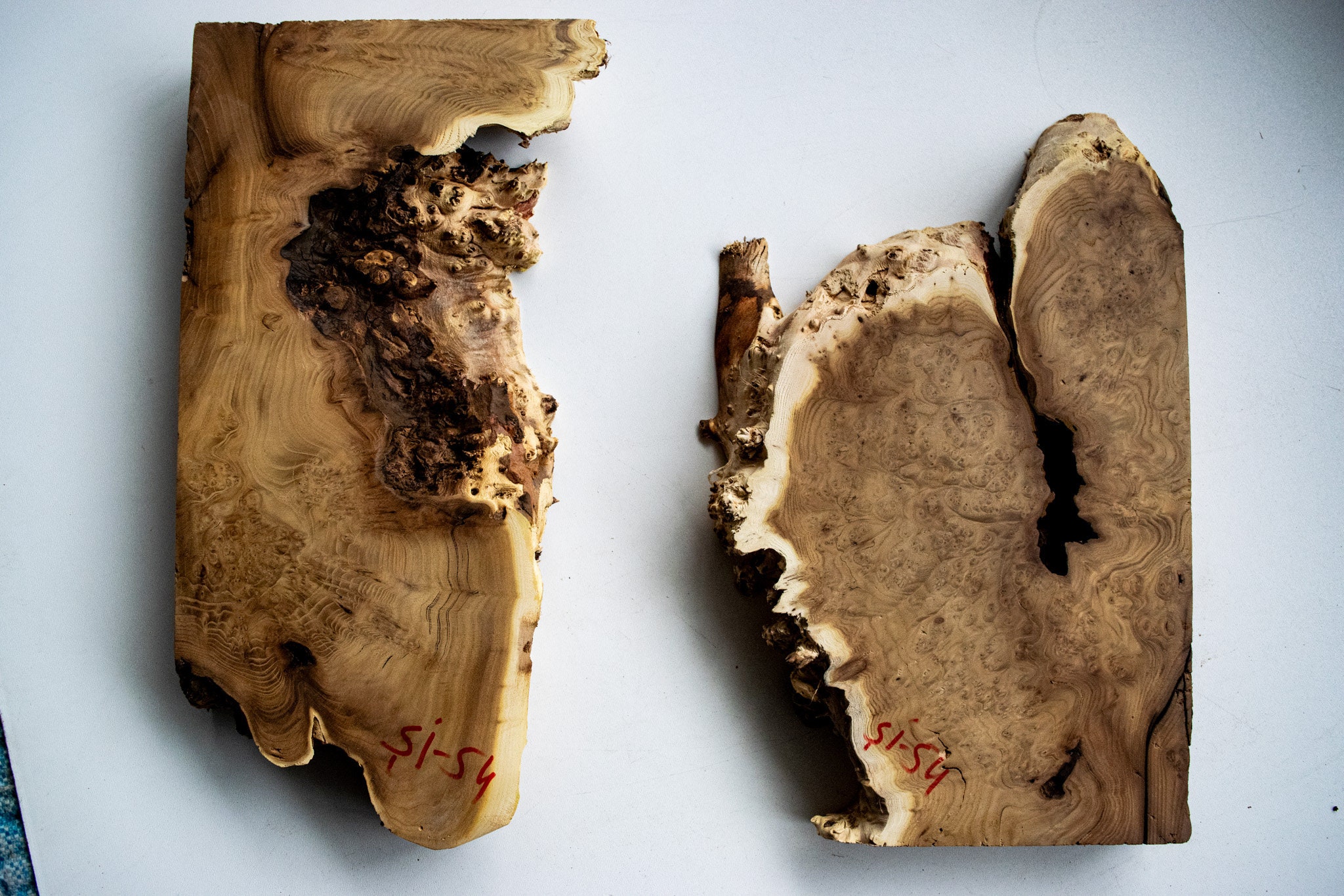 Live Edge Raw Edged Wood Sheet Live Edge Sheet Unfinished for - Etsy