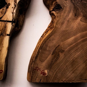 Walnut Tree Slice, Walnut Tree Wood Slabs, Live Edge, Unique Walnut ...