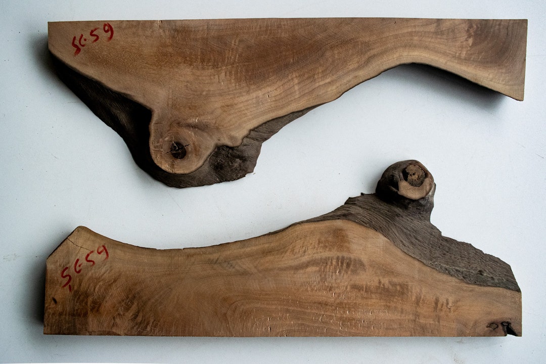 Walnut Tree Slice, Walnut Tree Wood Slabs, Live Edge, Unique Walnut ...