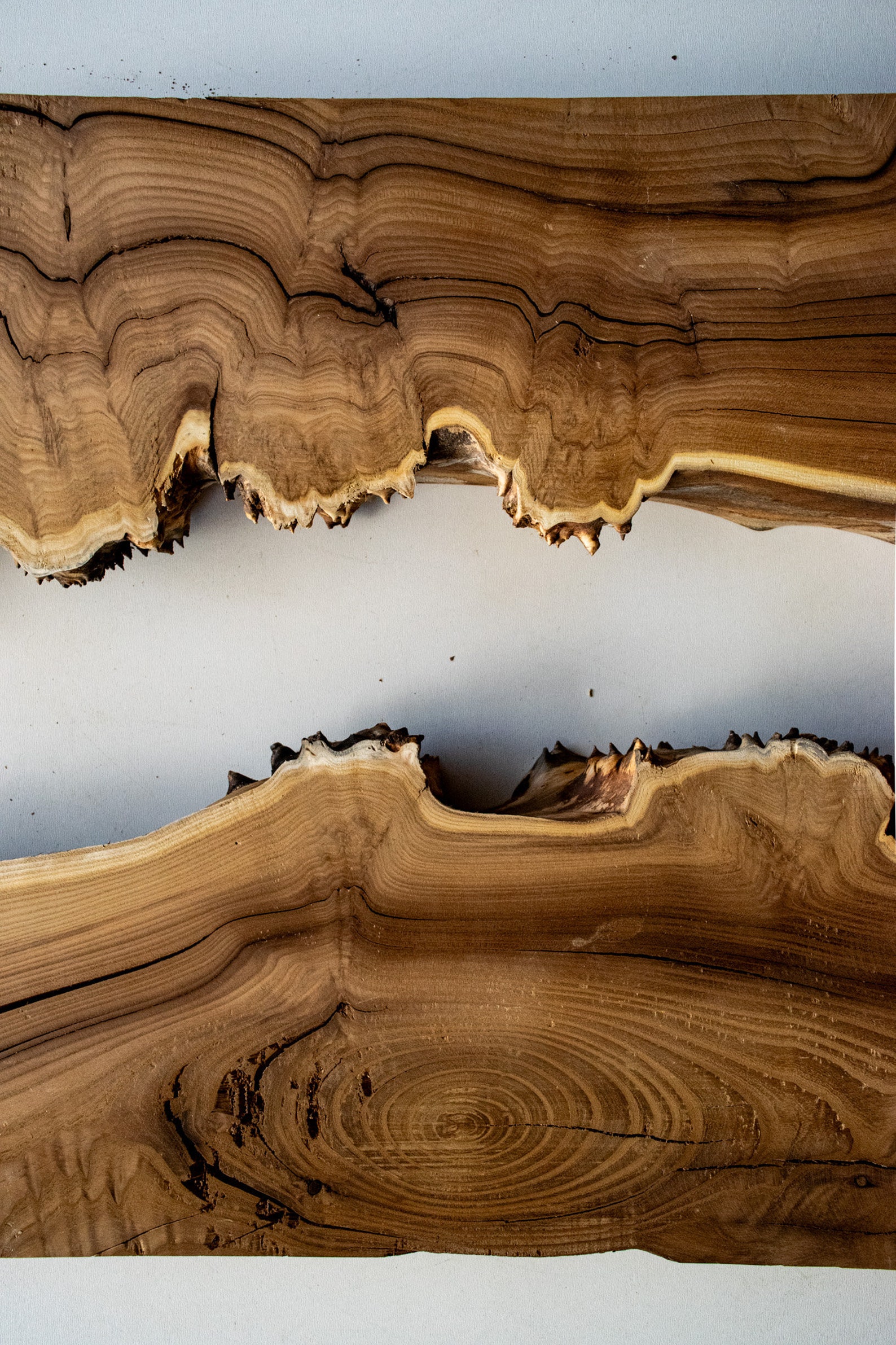 Live Edge Raw Edged Wood Sheet Live Edge Sheet Unfinished for - Etsy
