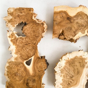Live Edge Raw Edged Wood Sheet, Live Edge Sheet Unfinished for Craft ...