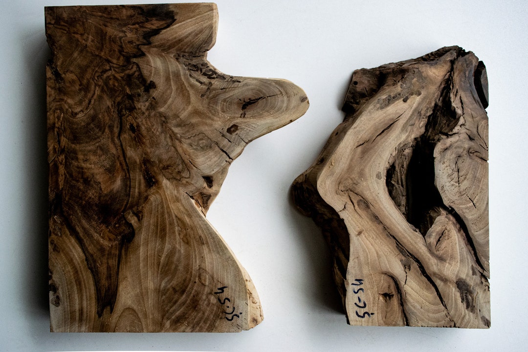 Walnut Tree Slice Walnut Tree Wood Slabs Live Edge Unique - Etsy