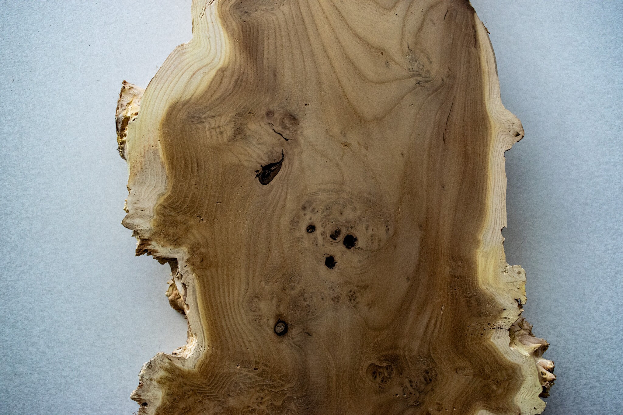 Live Edge Raw Edged Wood Sheet Live Edge Sheet Unfinished for - Etsy