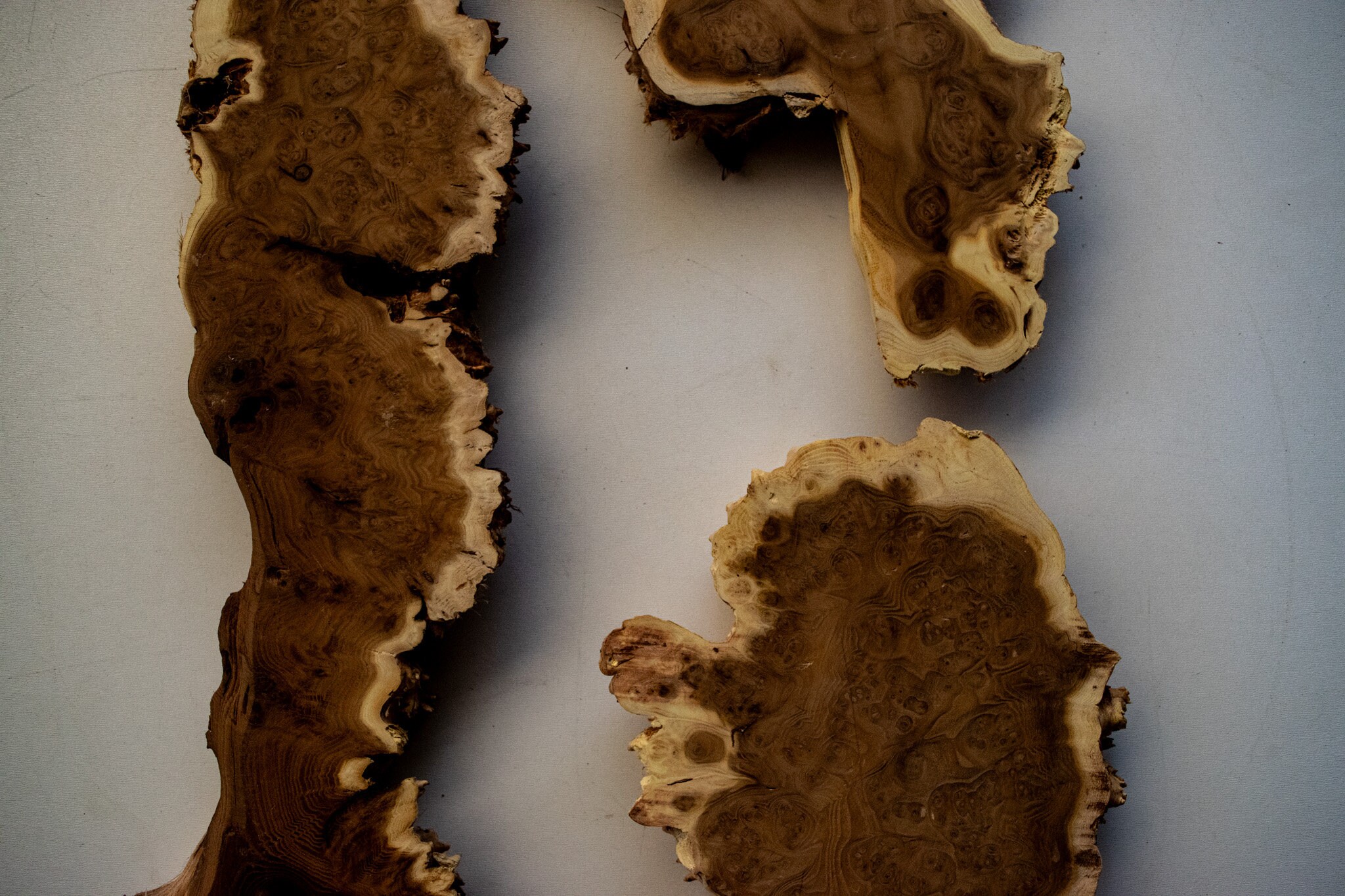 Live Edge Raw Edged Wood Sheet Live Edge Sheet Unfinished for - Etsy