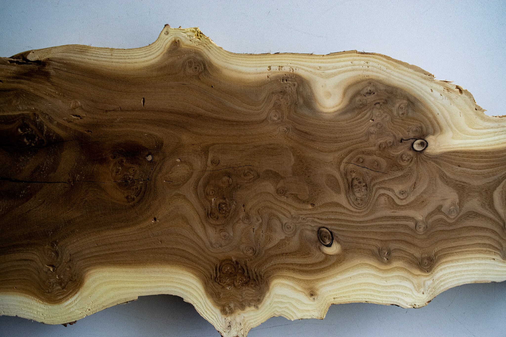 Live Edge Raw Edged Wood Sheet Live Edge Sheet Unfinished for - Etsy