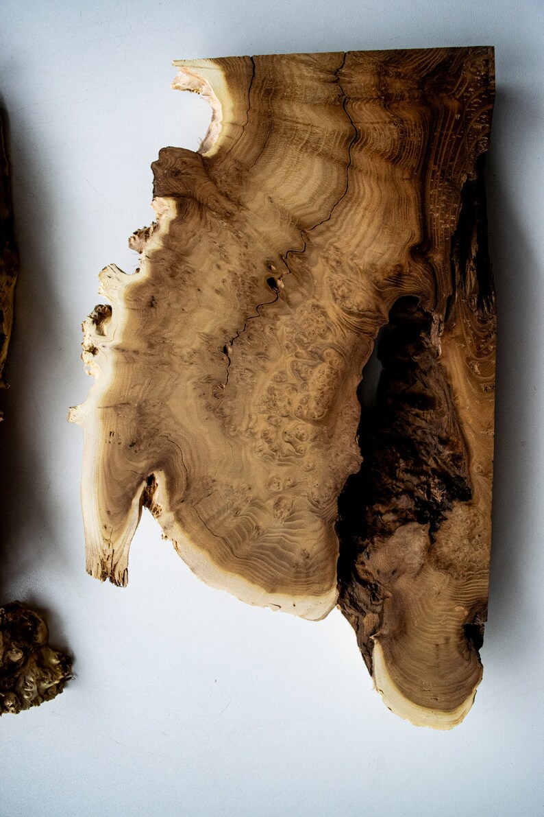 Live Edge Raw Edged Wood Sheet Live Edge Sheet Unfinished for - Etsy