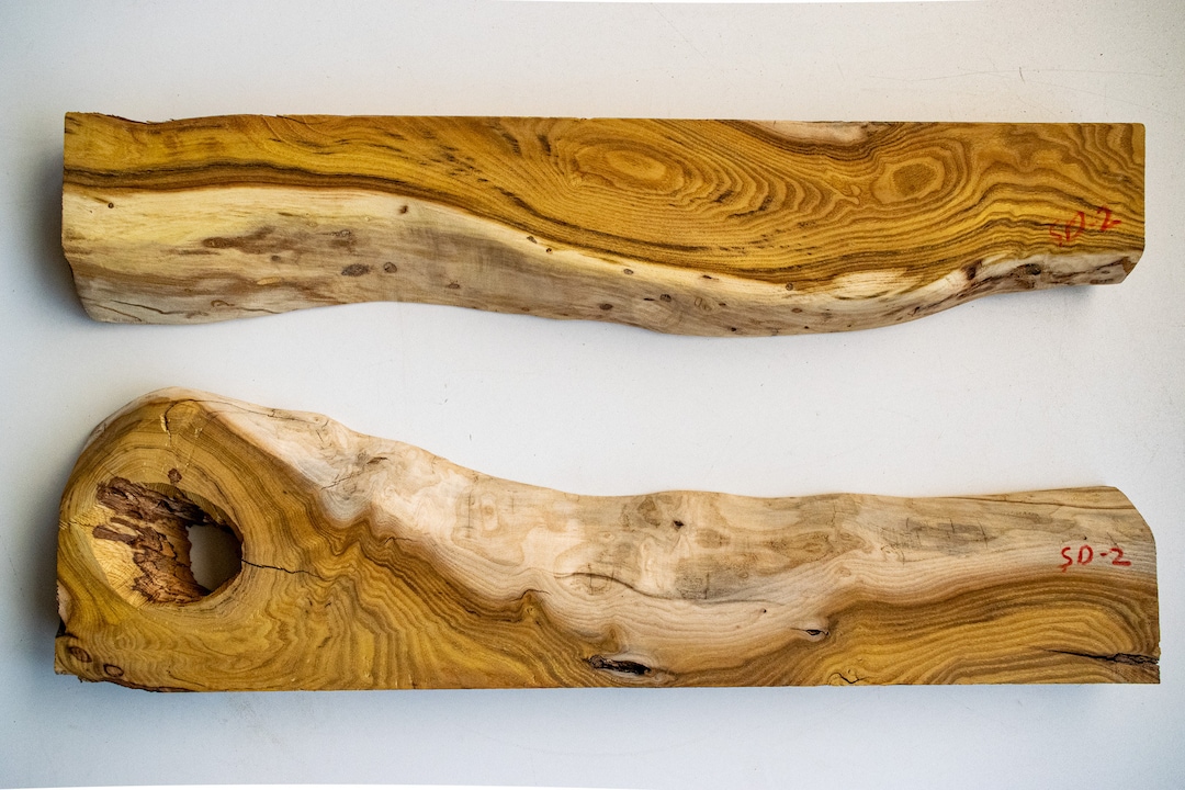 Walnut Tree Slice Walnut Tree Wood Slabs Live Edge Unique - Etsy