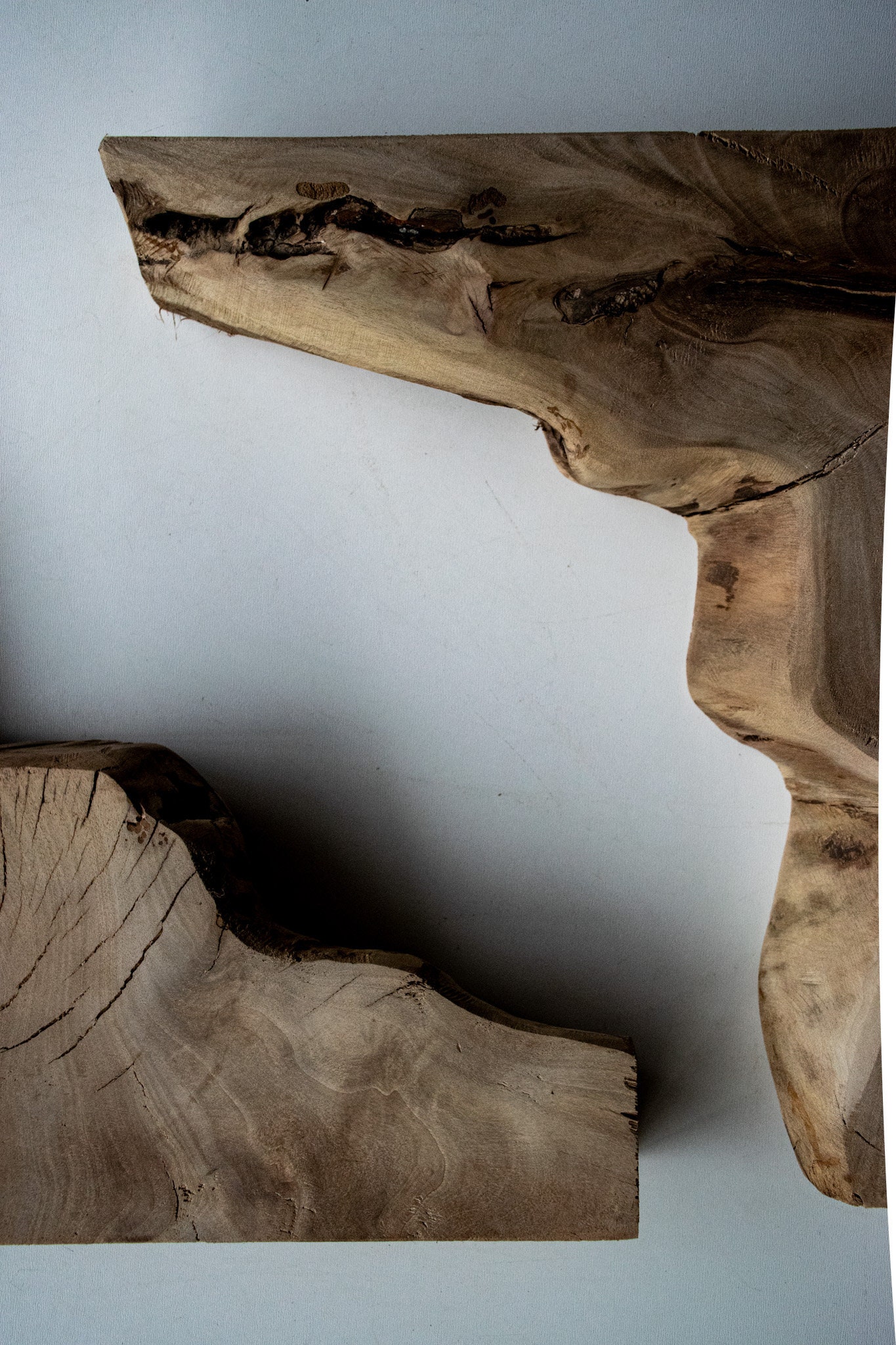 Walnut Tree Slice Walnut Tree Wood Slabs Live Edge Unique - Etsy