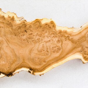 Live Edge Raw Edged Wood Sheet, Live Edge Sheet Unfinished for Craft ...