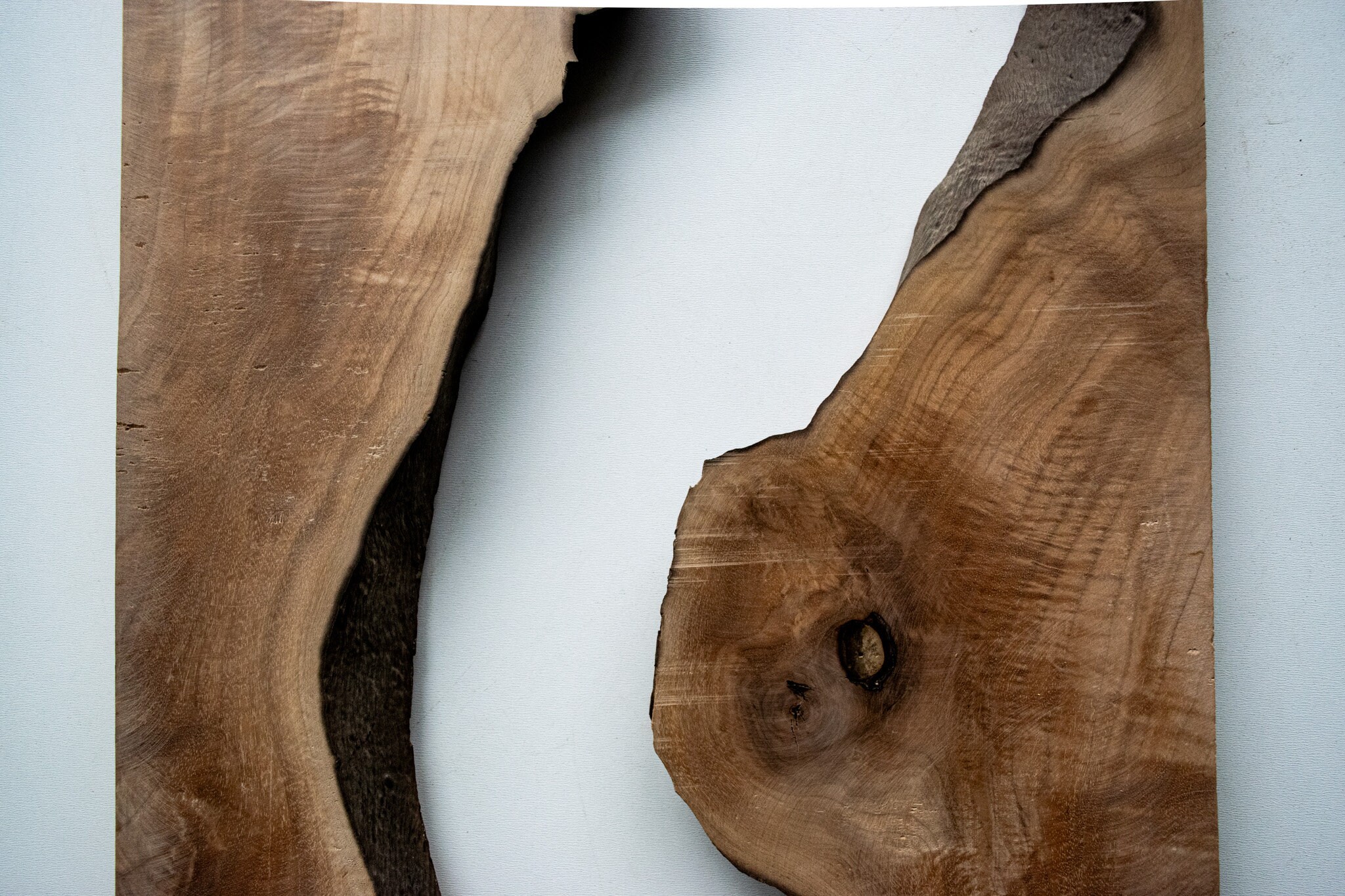 Walnut Tree Slice, Walnut Tree Wood Slabs, Live Edge, Unique Walnut ...