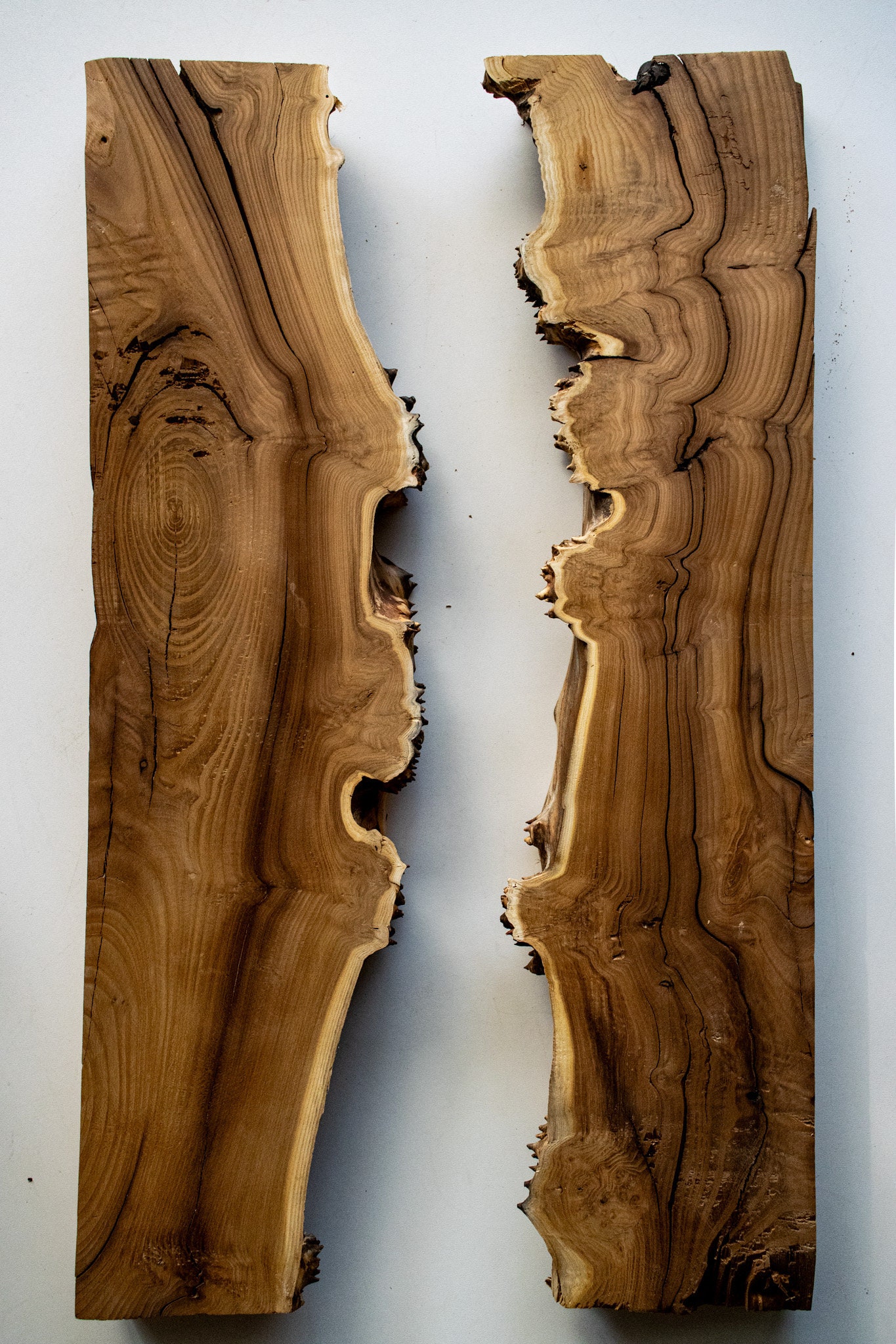 Live Edge Raw Edged Wood Sheet Live Edge Sheet Unfinished for - Etsy