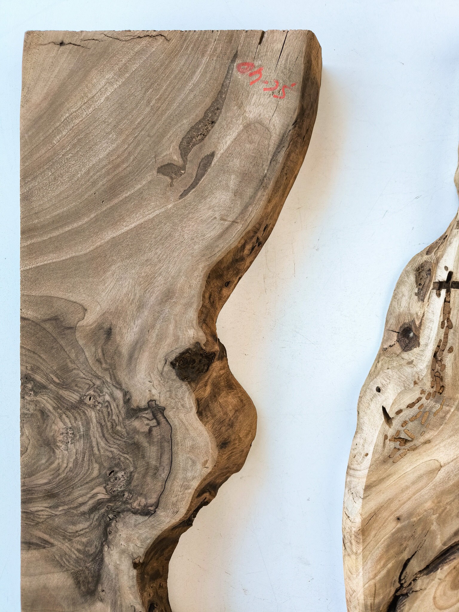 Walnut Tree Slice, Walnut Tree Wood Slabs, Live Edge, Unique Walnut ...