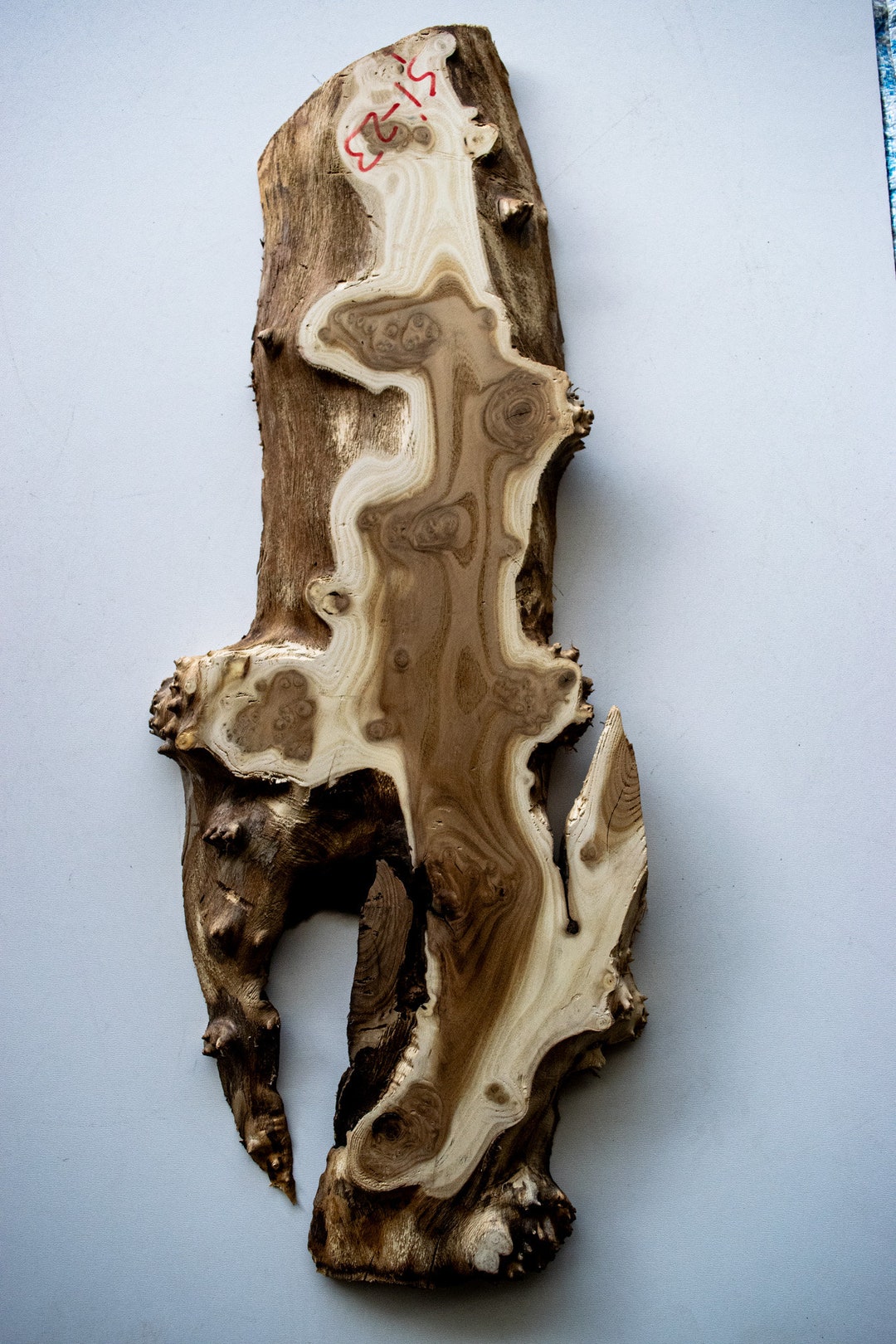 Live Edge Raw Edged Wood Sheet Live Edge Sheet Unfinished for - Etsy
