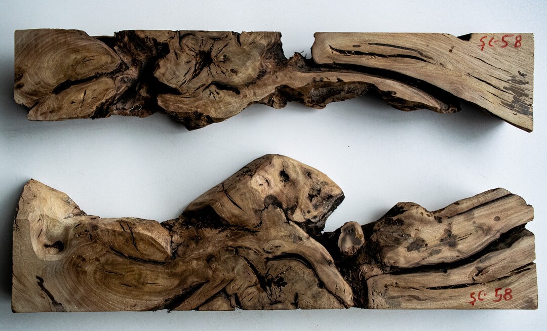 Walnut Tree Slice Walnut Tree Wood Slabs Live Edge Unique - Etsy