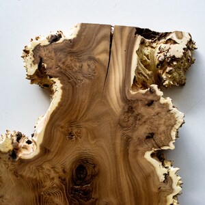 Live Edge Raw Edged Wood Sheet Live Edge Sheet Unfinished for - Etsy
