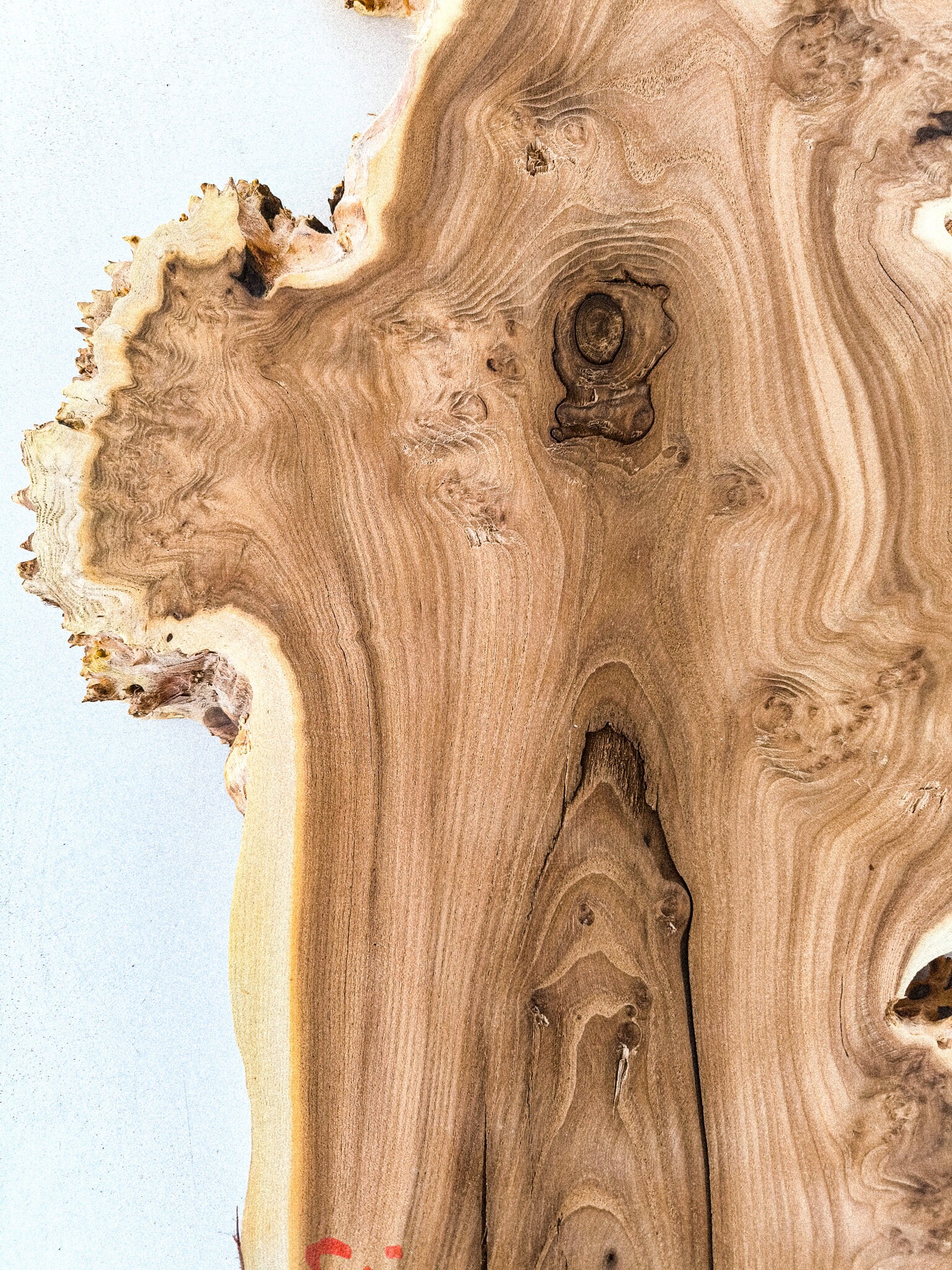 Live Edge Raw Edged Wood Sheet, Live Edge Sheet Unfinished for Craft ...