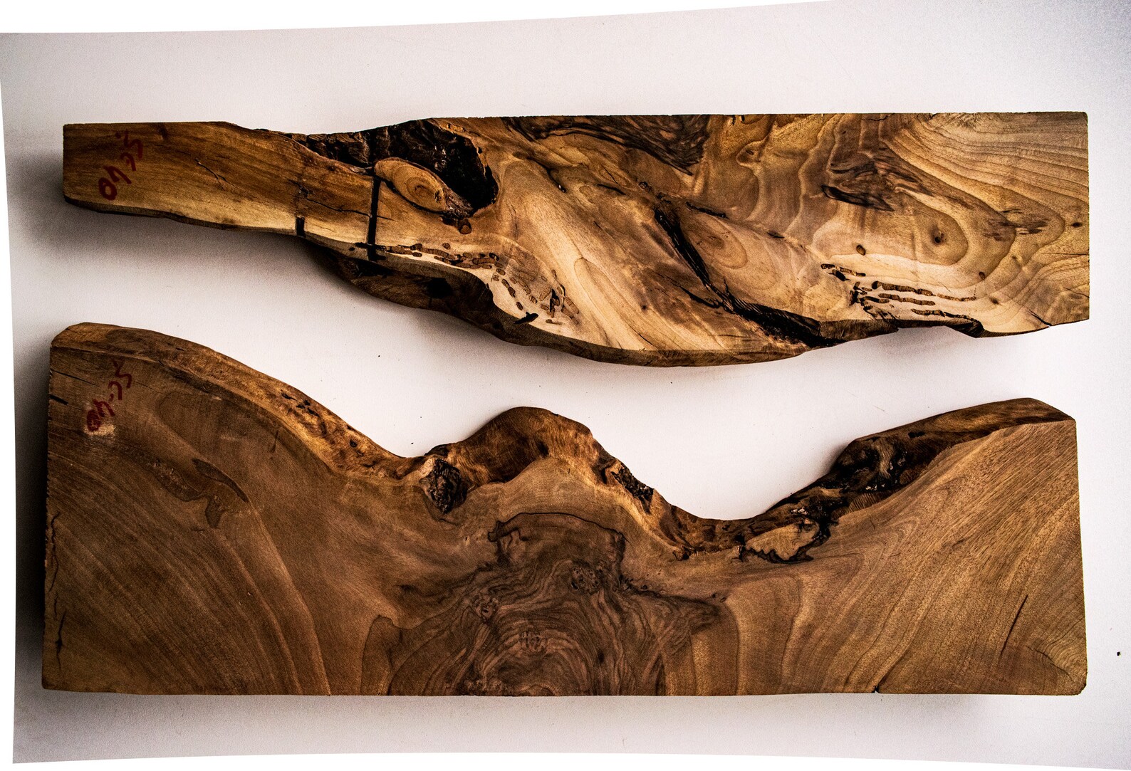 Walnut Tree Slice, Walnut Tree Wood Slabs, Live Edge, Unique Walnut ...