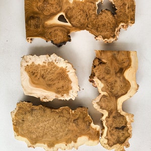 Live Edge Raw Edged Wood Sheet, Live Edge Sheet Unfinished for Craft ...