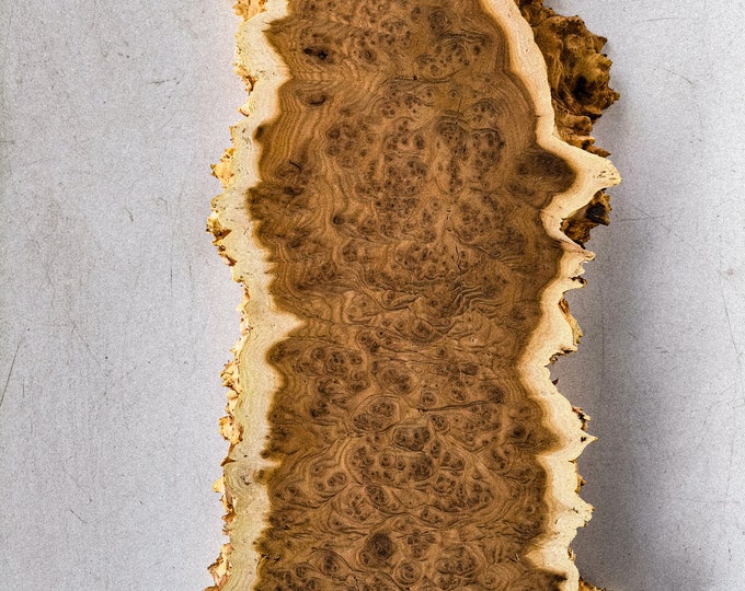 Live Edge Raw Edged Wood Sheet, Live Edge Sheet Unfinished for Craft ...
