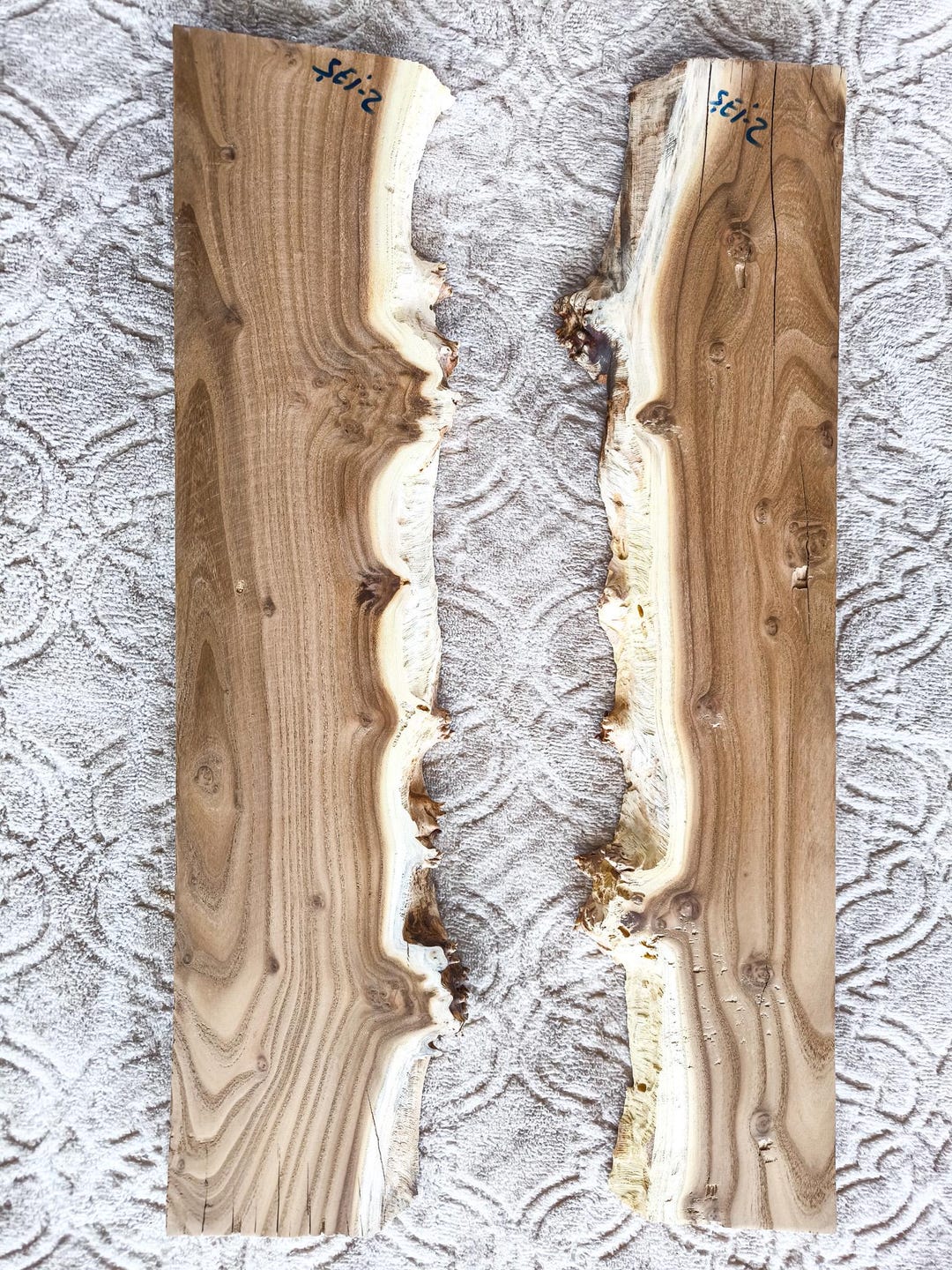 Authentic Wood Slice, Unique Tree Slab for Home & Garden Décor, Natural ...