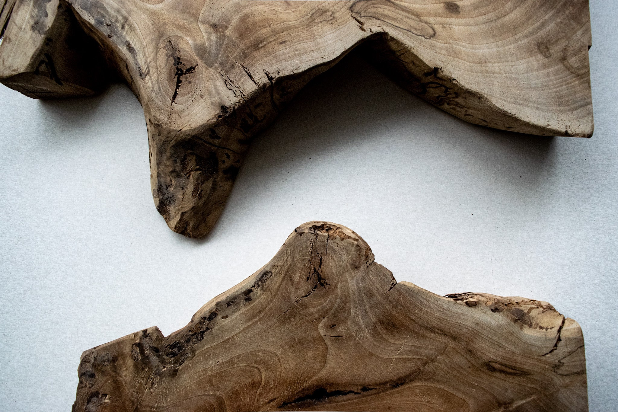 Walnut Tree Slice Walnut Tree Wood Slabs Live Edge Unique - Etsy