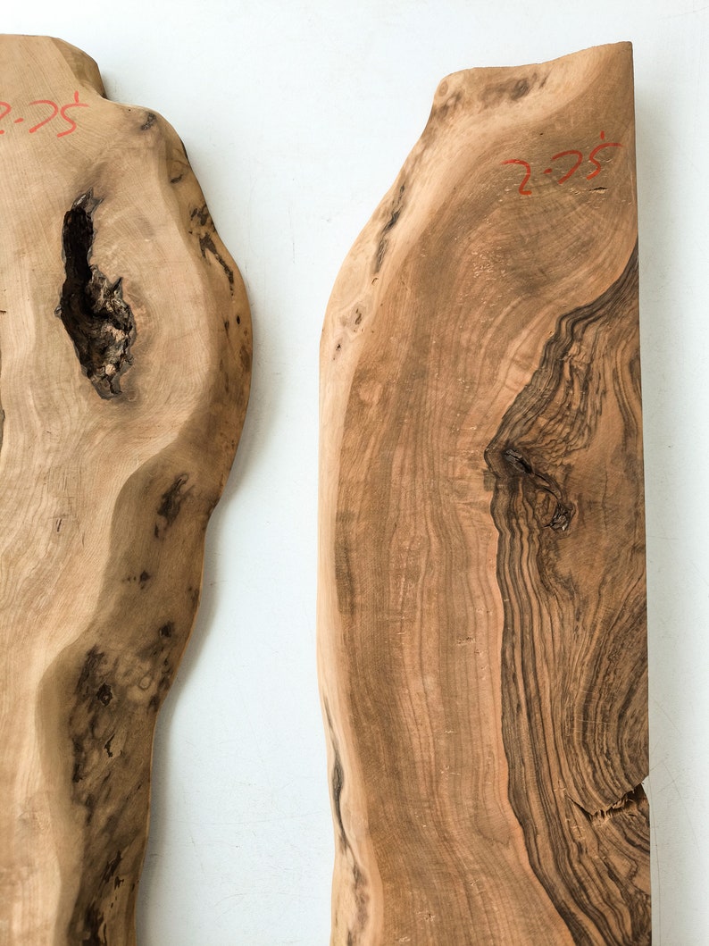 Walnut Tree Slice, Walnut Tree Wood Slabs, Live Edge, Unique Walnut ...