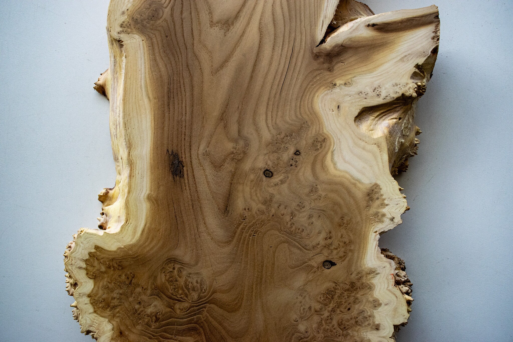 Live Edge Raw Edged Wood Sheet Live Edge Sheet Unfinished for - Etsy