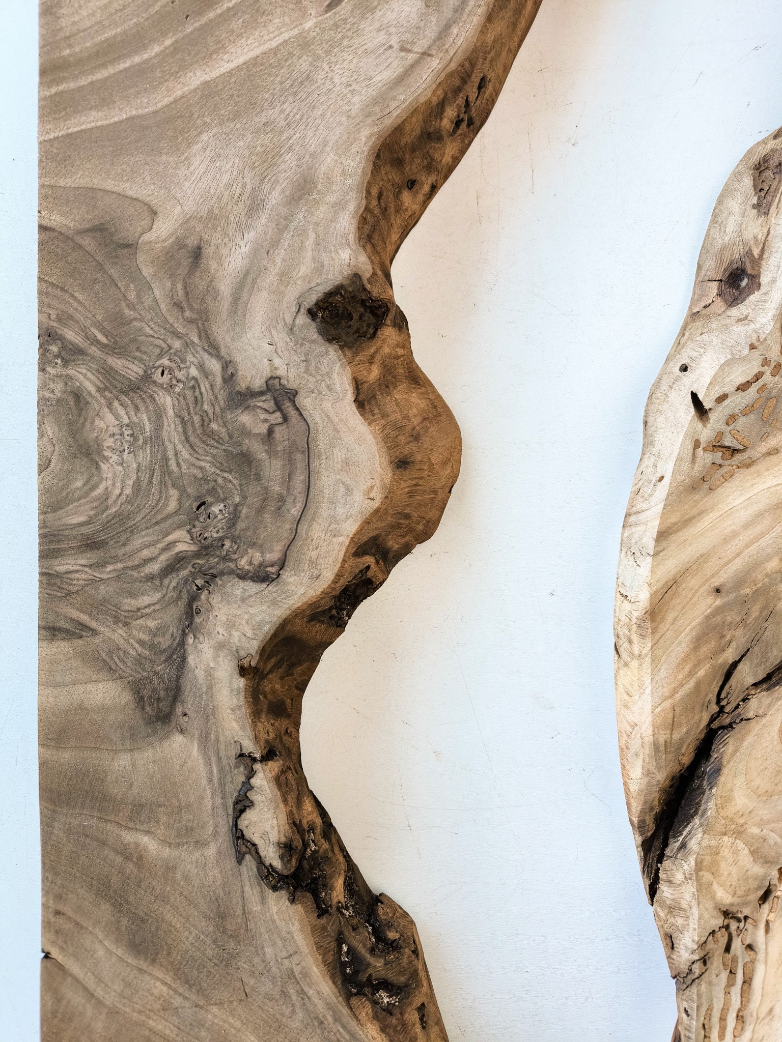 Walnut Tree Slice, Walnut Tree Wood Slabs, Live Edge, Unique Walnut ...