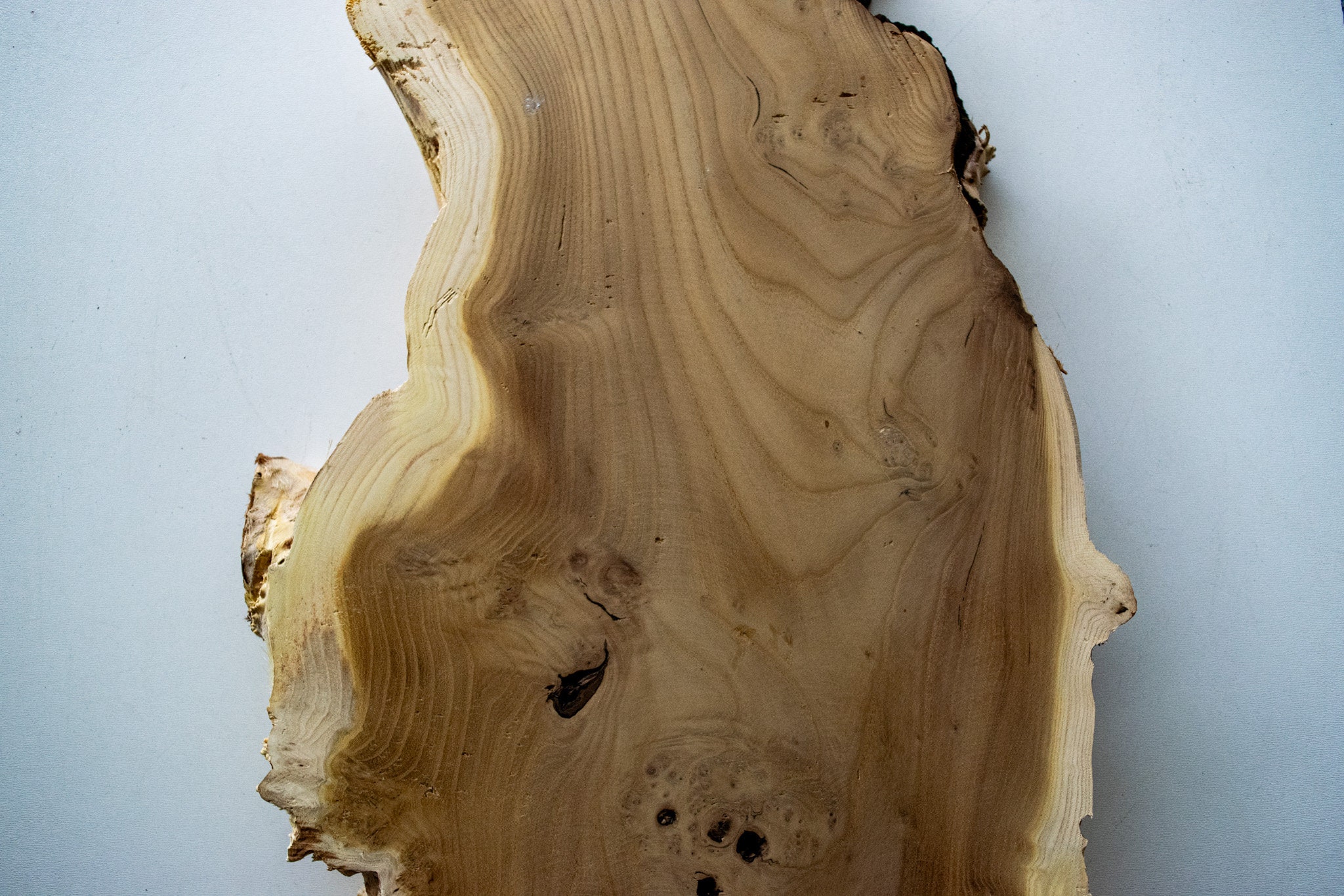 Live Edge Raw Edged Wood Sheet Live Edge Sheet Unfinished for - Etsy