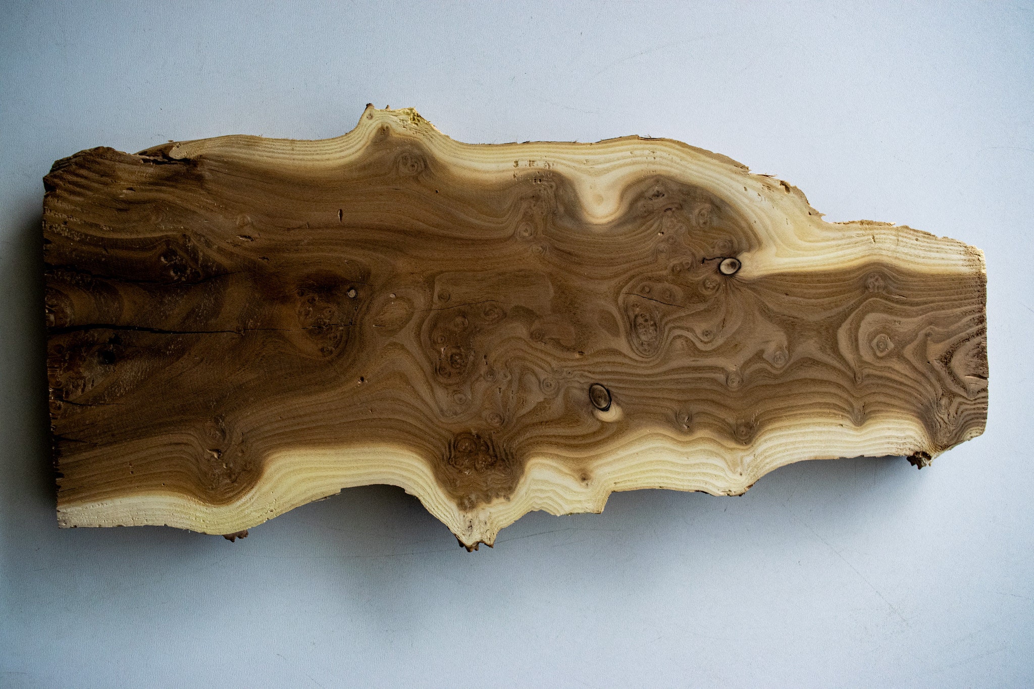 Live Edge Raw Edged Wood Sheet Live Edge Sheet Unfinished for - Etsy