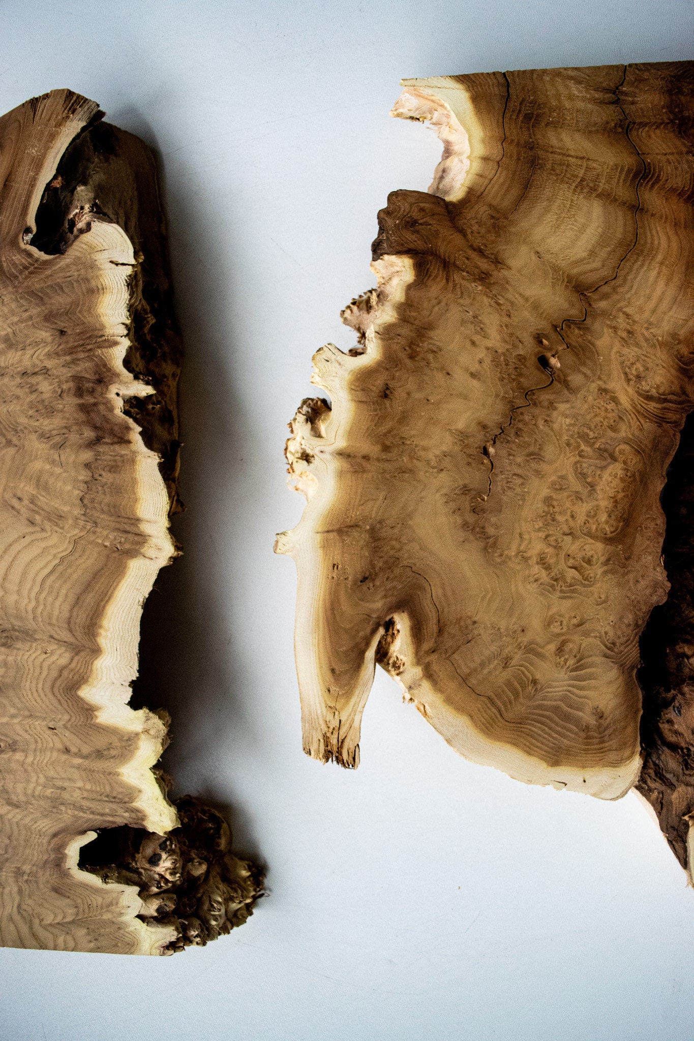 Live Edge Raw Edged Wood Sheet Live Edge Sheet Unfinished for - Etsy